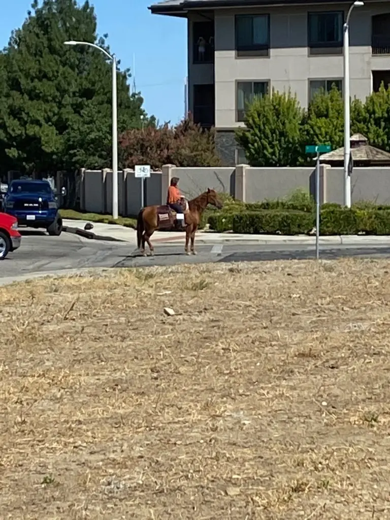 2022 Tehachapi – Kern County Sheriff's Mounted Posse